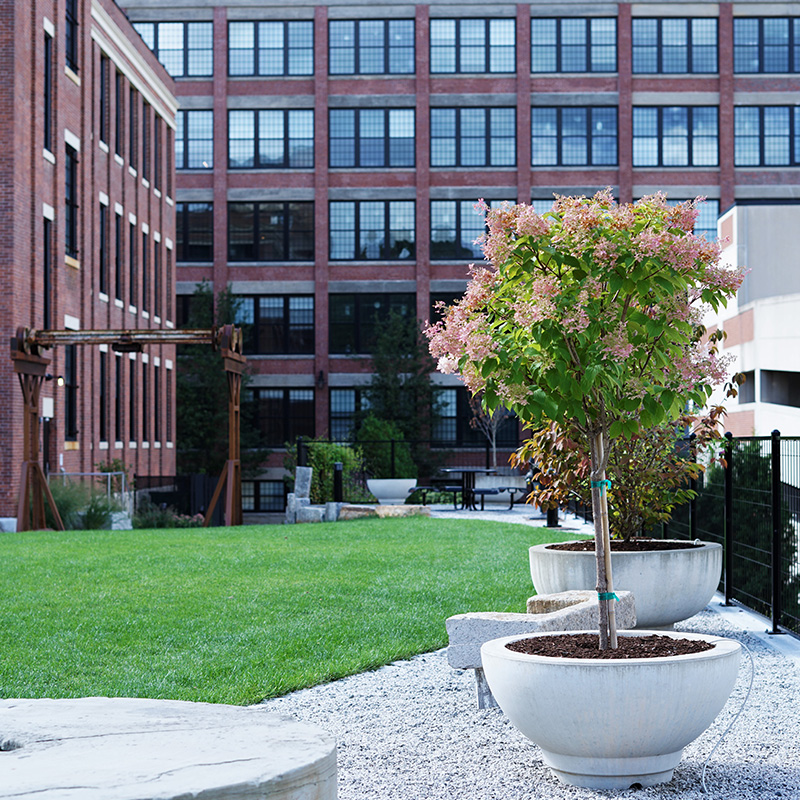 Halstead Providence Apartments Photo Gallery